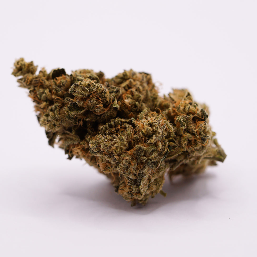 28/1 Amici GB - Godberry – WeeDoc.